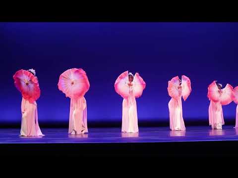 [Celerity] Dance of Drifting Lotus Petals – Front Row | DWX Fall 2024 Showcase