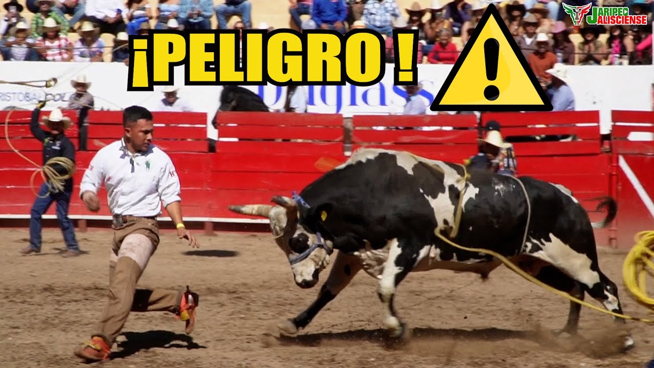 COMPILATION, THE BRAVEST AND MOST DANGEROUS BULLS OF THE JARIPEO