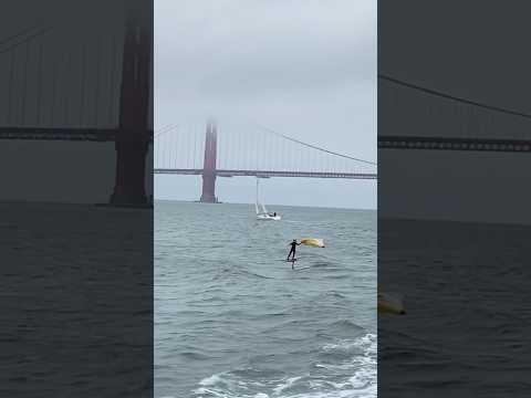 Golden gate pier 39 San Francisco pleasant view#shorts #nature