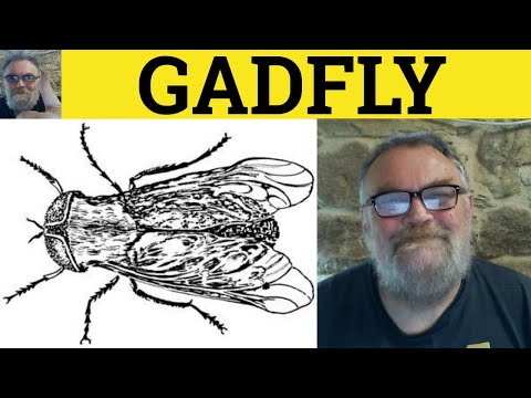 🔵 Gadfly Meaning - Gadfly Examples - Gadfly Definition - Describing People - Gadfly