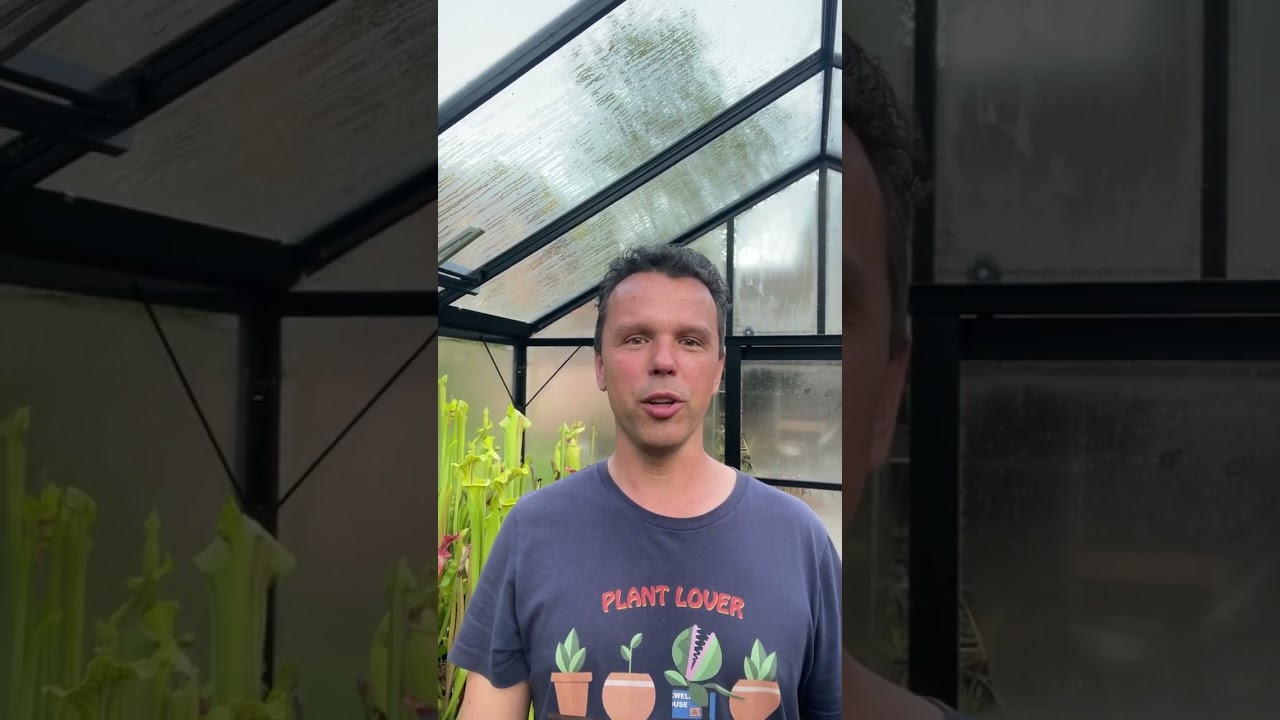 ICPS 2026 Conference Location Announcement!