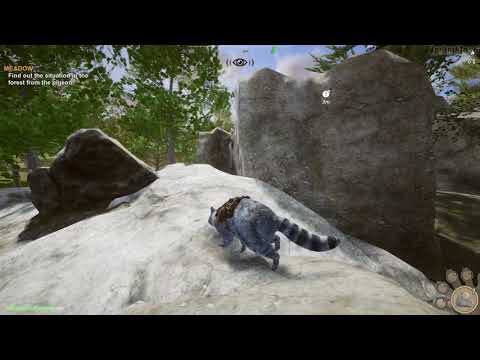 Steam Community :: Wanted Raccoon