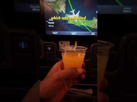 Singapore Airlines Review | Singapore to Sydney #singaporeairlinesreview #singaporeairlines