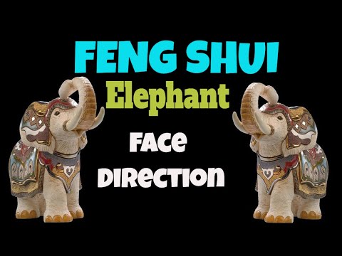 Feng Shui Elephant Trunk Direction - Feng Shui Elephant Trunk Direction- Feng Shui Elephant