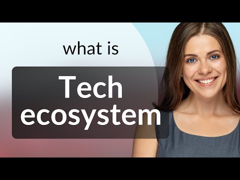 Understanding the Tech Ecosystem: A Guide for English Learners