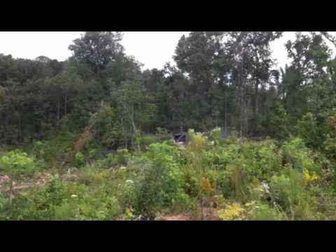 Forestry Solutions Skidder Spraying