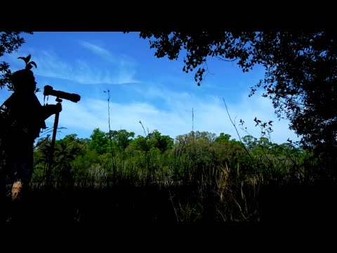 Chinsegut - Trails, Butterfly & Harry Potter Magic Wand