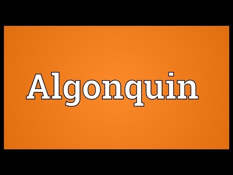 Algonquin Meaning
