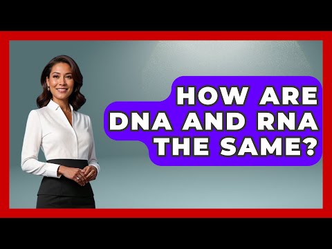 How Are DNA And RNA The Same? - Biology For Everyone