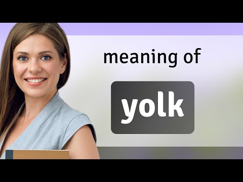 Yolk — what is YOLK meaning