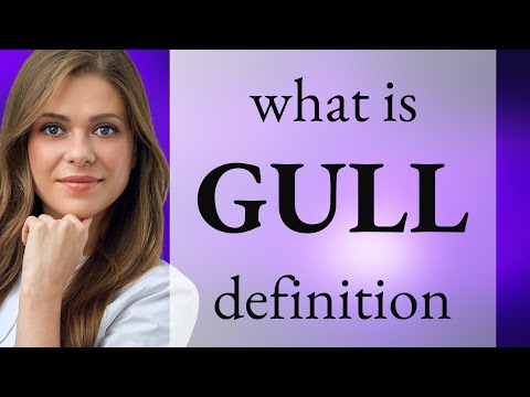 Gull • what is GULL definition