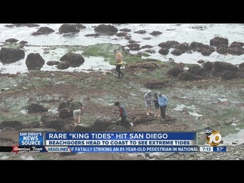 Beachgoers head to coast to see extreme tides: Rare 'king tides' occurring on San Diego coast