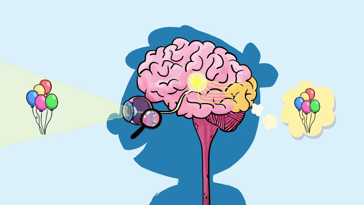 C’est quoi, le daltonisme ? - Curionautes des sciences
