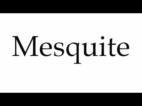 How to Pronounce Mesquite