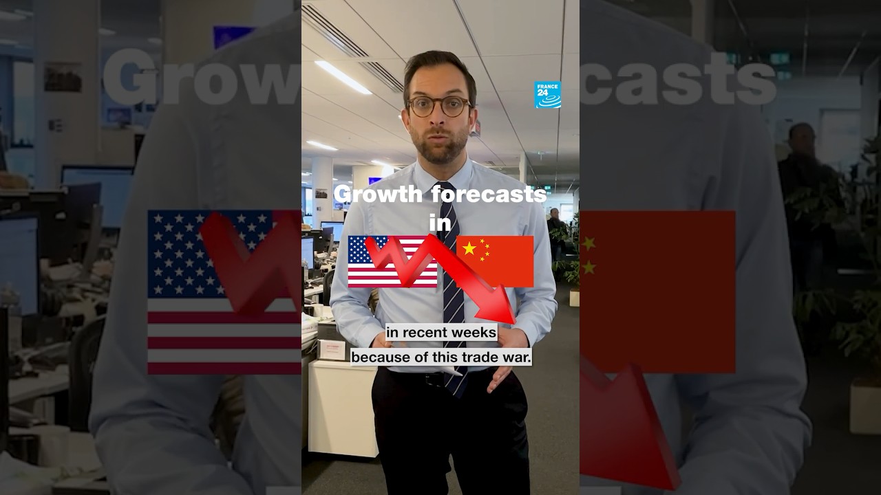Trade war: Is China equipped to deal with US tariffs? • FRANCE 24 English