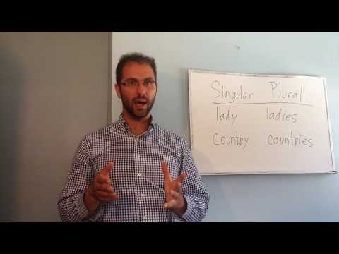Changing Singular Nouns to Plural That End in Y
