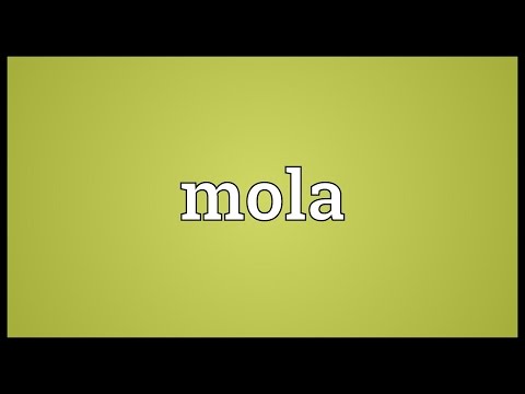 Mola Meaning