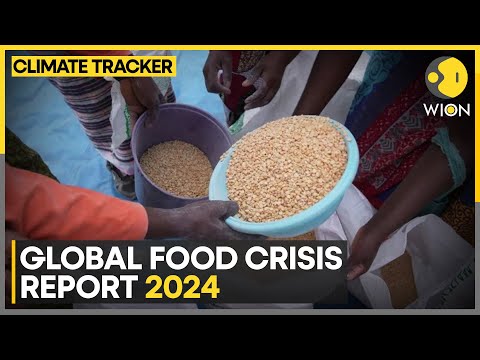 Global Food Crisis 2024 report: 1 in 5 people in need of urgent action | WION Climate Tracker