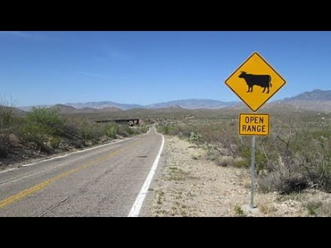 Open Range Cattle - An issue when you buy property in Arizona
