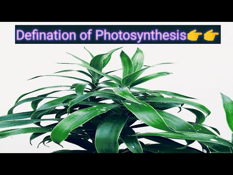 What is photosynthesis?? Easy definition 🙂With good hand writing