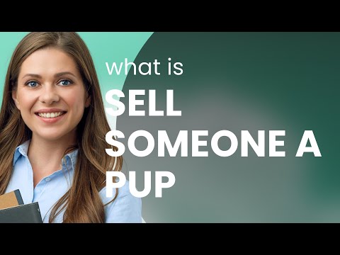 Unpacking the Phrase: "Selling Someone a Pup"
