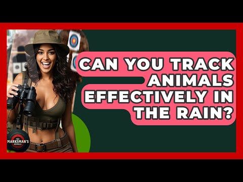 Can You Track Animals Effectively In The Rain? - The Marksman's Journal