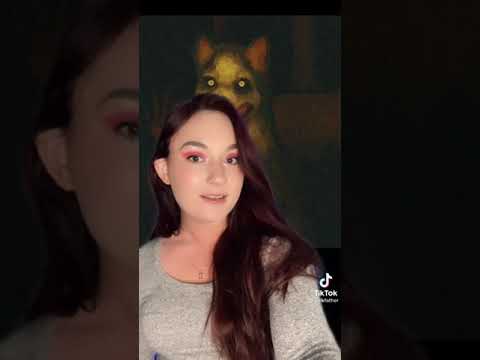 Legend of smiling dog 🐶😈 yolkfather tiktok