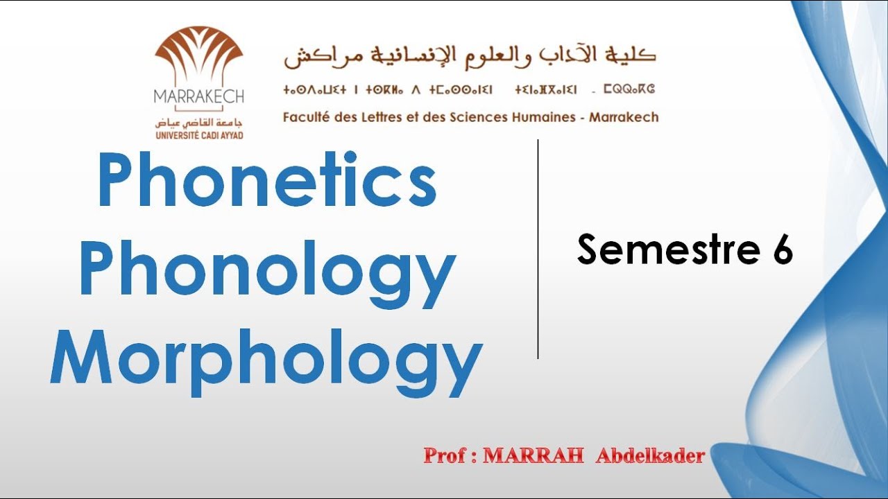 Morphology -  P19