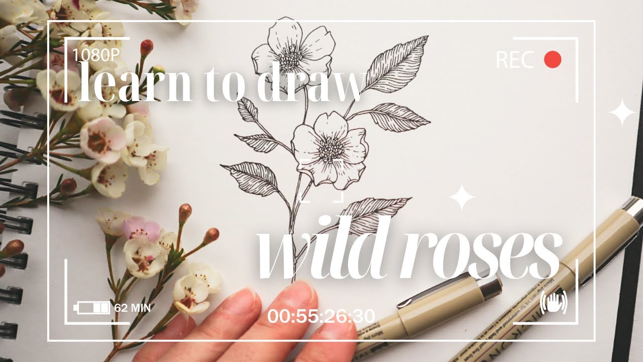 How to Draw a Wild Rose - A Step-by-Step Tutorial for Beginners!