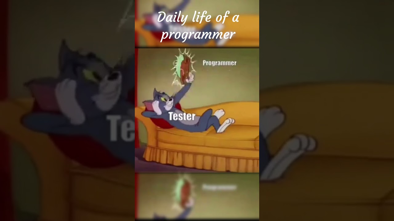 Programmer's life #developerslife #coding #memes
