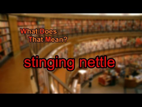 What does stinging nettle mean?