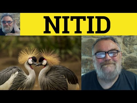 🔵 Nitid Meaning - Nitid Examples - Nitidly Defined - Semi-Formal English - Nitid