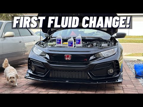 Transmission Fluid Change for my FK8 Civic Type R!