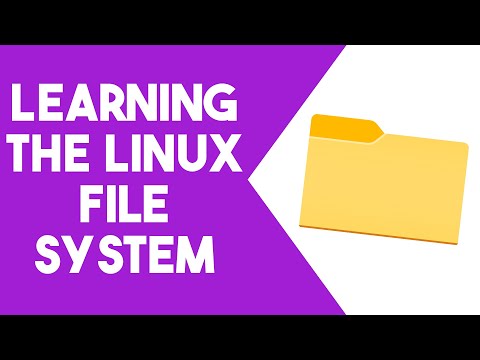 5 Things To Know About the Linux File System