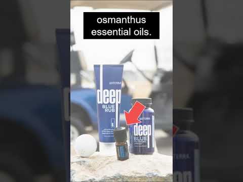 Deep Blue essential oil benefits and uses