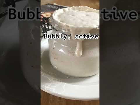 Revive your sourdough starter #shorts