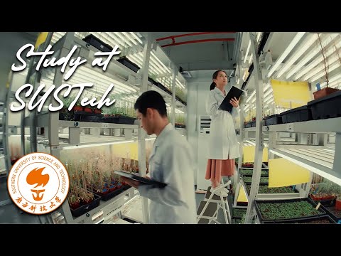 Southern University of Science and Technology (SUSTech) : Rankings ...