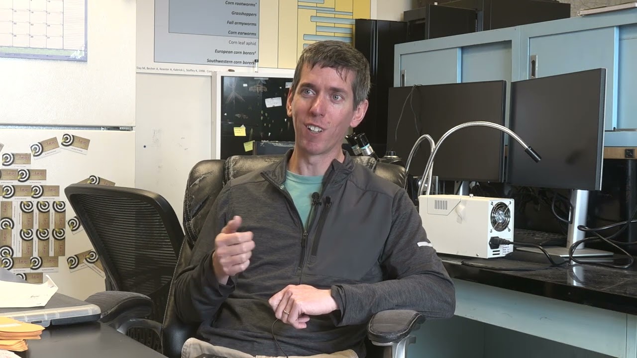 Insect Research in 2025