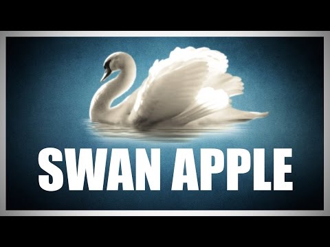 Jablečná labuť (swan apple)