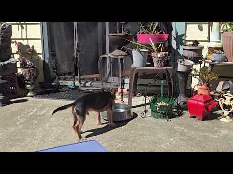 New Foster Jonah! | Haydennet.com – Joseph Andrew Hayden, Juris Doctor