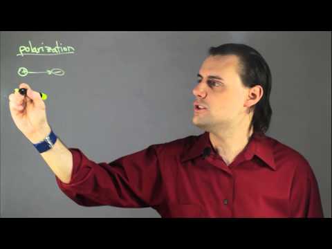What Does Polarized Mean in Physics? : Physics Help