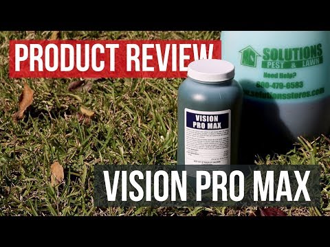 Vision Pro Max: Product Review