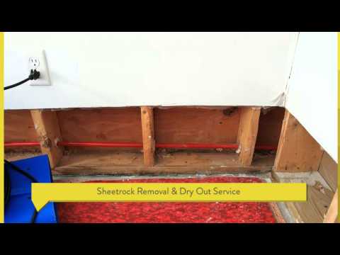 Mold Removal 44094 Waite Hill OH 216-220-5051 Serving Lake County Ohio