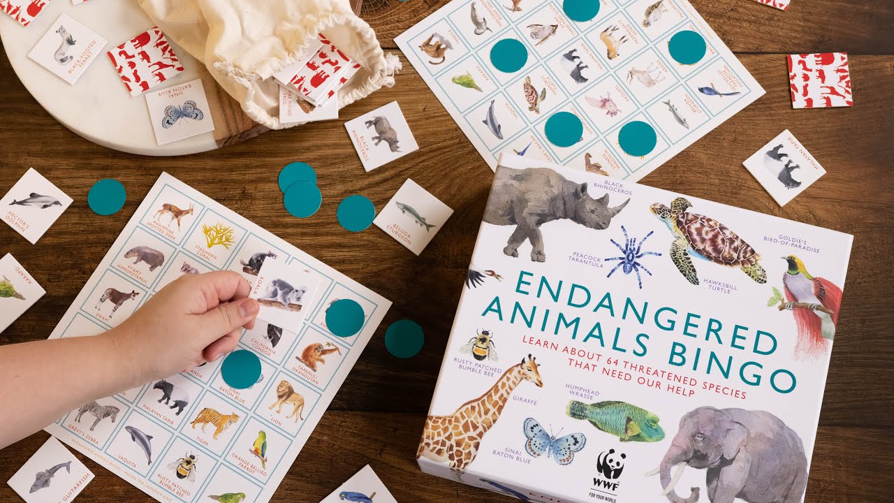 Endangered Animals Bingo - Laurence King Publishing