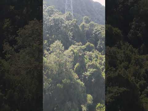 Langkawi SkyCab Adventure | The Most Breathtaking Cable Car Ride in Malaysia!