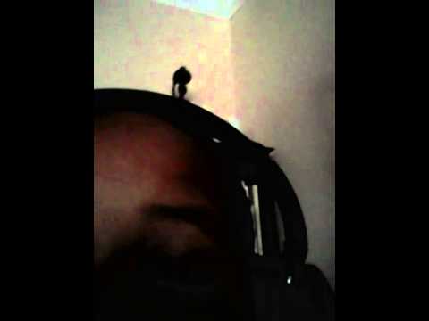 Me singing na na