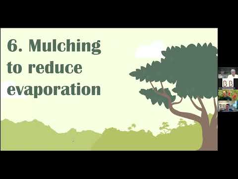B&B Live! - Water-wise landscaping (aka Xeriscaping)