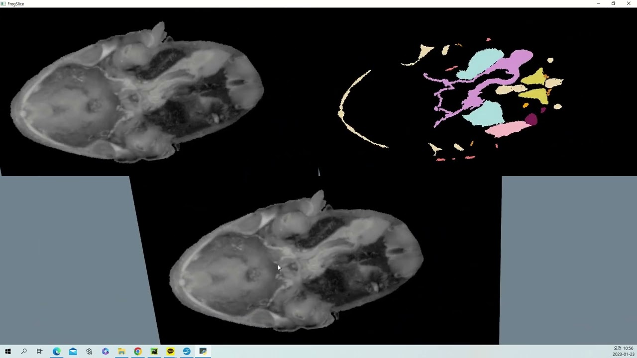 VTK Python Example - FrogSlice