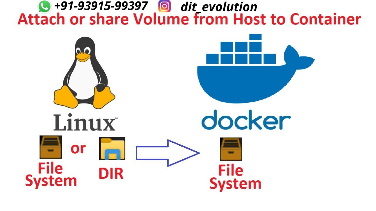 Docker Volume: Attach Volume from Host to Container | docker tutorial for beginners