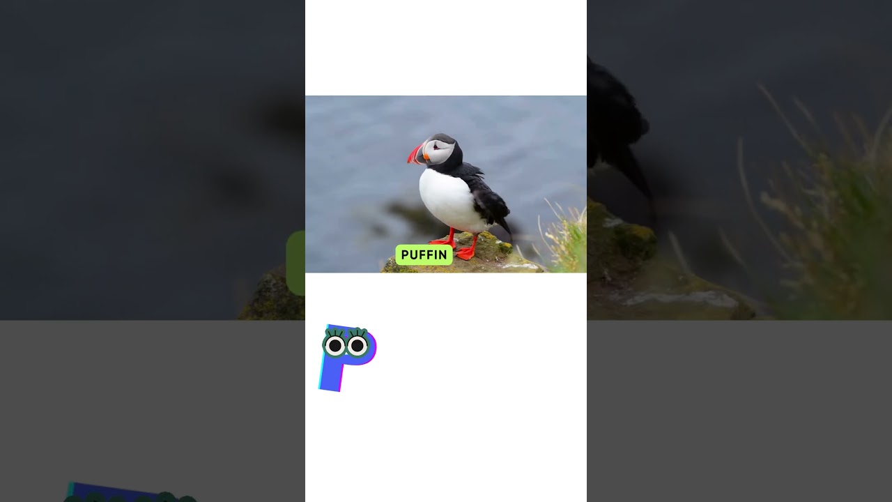 Learn ABC fun way #abcd #song